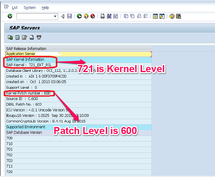 How To Check Kernel Version In Sap SAP BASIS 1 SOLUTION